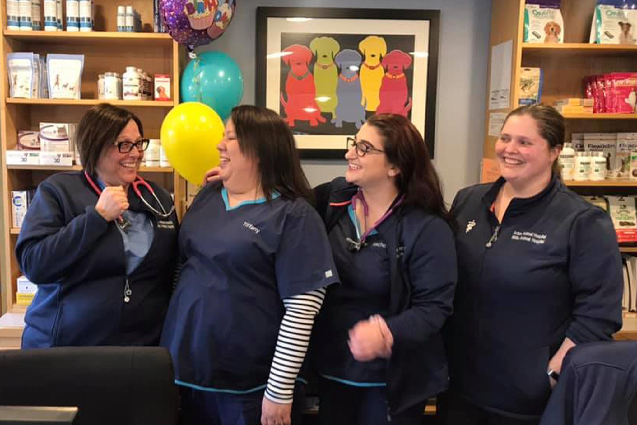 Meet Our Team in Acton, MA | Acton Animal Hospital