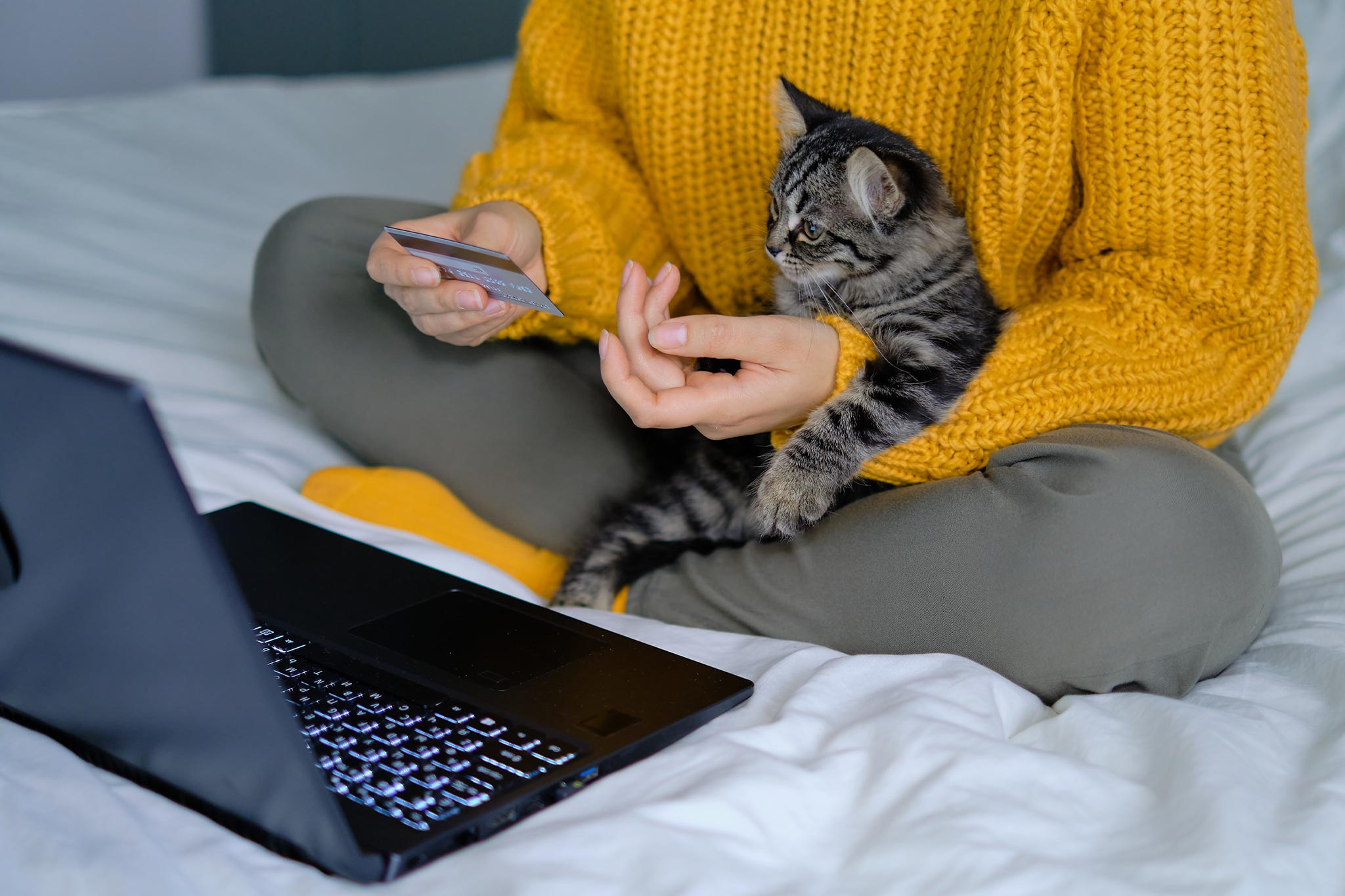 Policies & Payment | Acton Animal Hospital